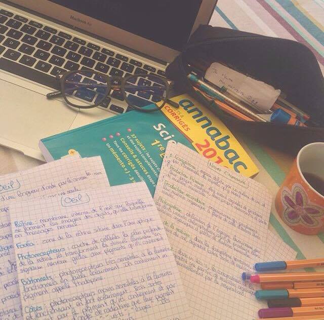 Réussir son année scolaire